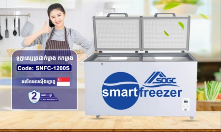 ទូក្លាស្សេឆ្លាតវៃ កកសុទ្ធ